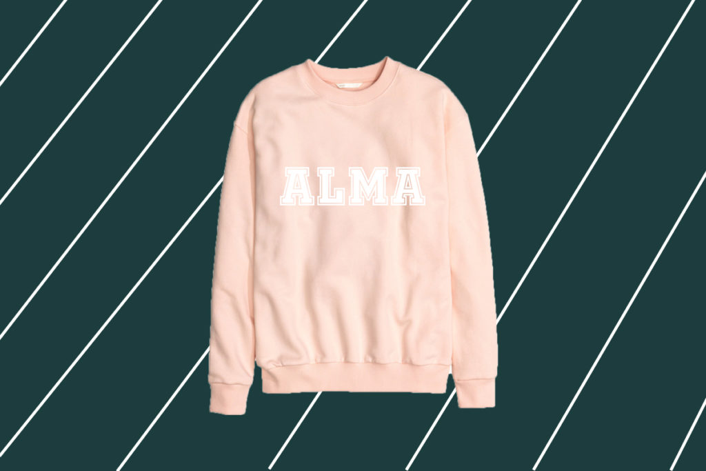 Meet the 2018-2019 Alma Ambassadors - Hey Alma