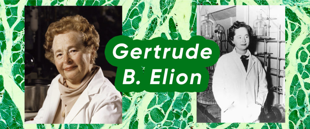 7 Female Jewish Doctors Who Changed History - Hey Alma