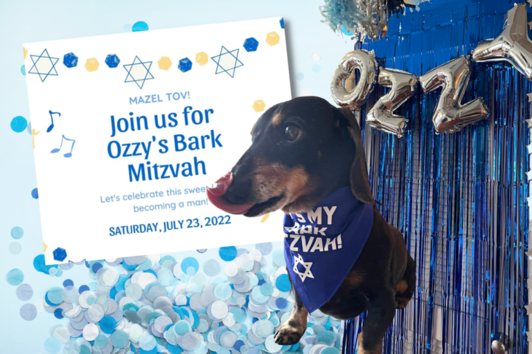 How to Throw a Bark Mitzvah - Hey Alma