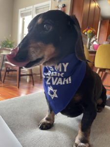 How to Throw a Bark Mitzvah - Hey Alma