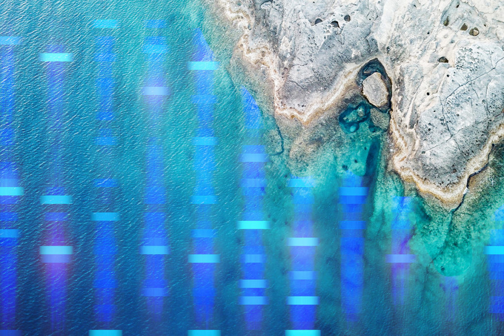 I Thought My Sephardic Ancestors Came From Spain. A DNA Test Changed ...