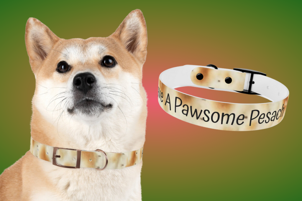 What Should Your Dog Wear to the Passover Seder? - Hey Alma