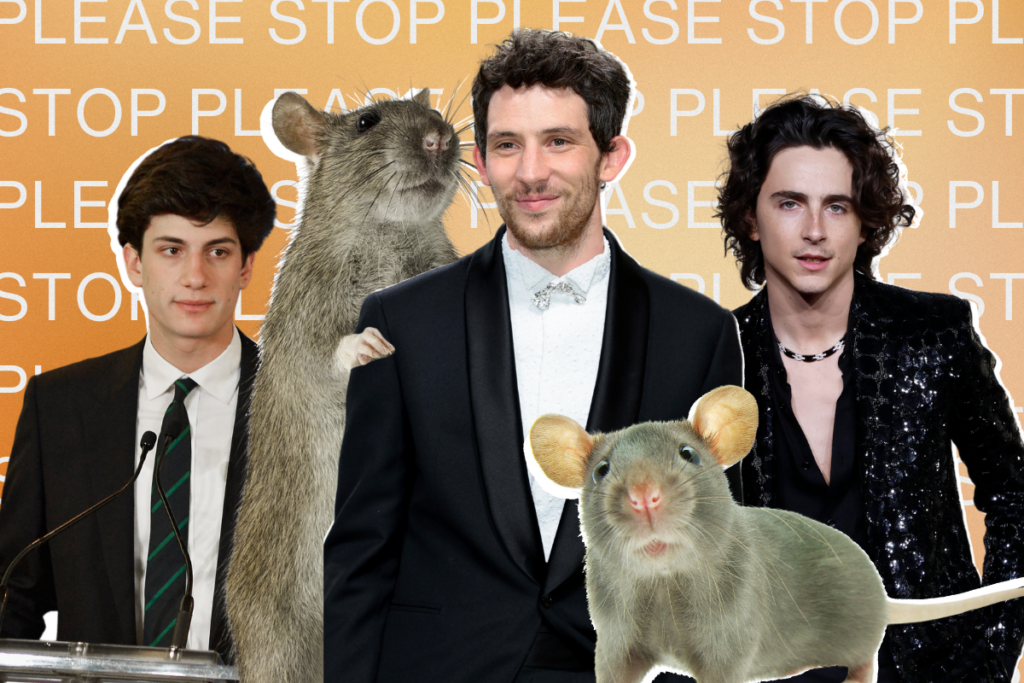 Please Stop Calling Jews 'Hot Rodents' - Hey Alma